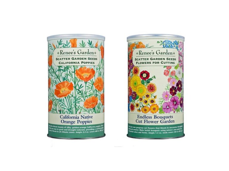 7 Creative Ways to Use Paper Canister Packaging